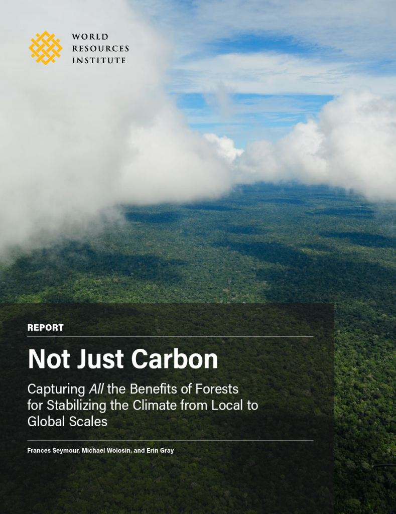 Not Just Carbon: Capturing All the Benefits of Forests for Stabilizing ...